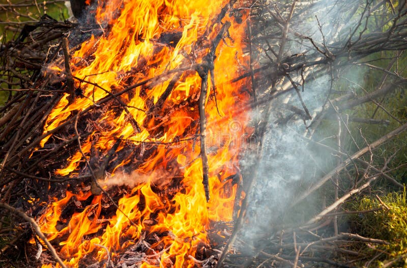 Branches on fire stock image. Image of power, abstract - 76772221