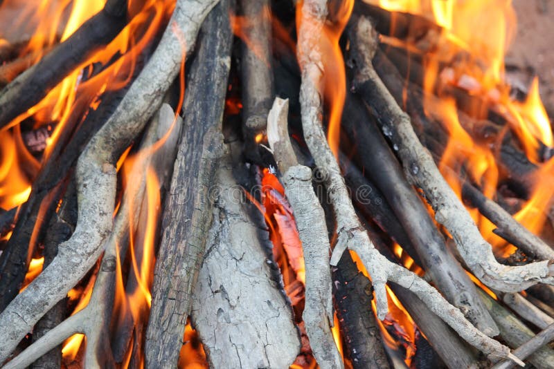 Burning branches stock image. Image of prepare, nature - 53983497