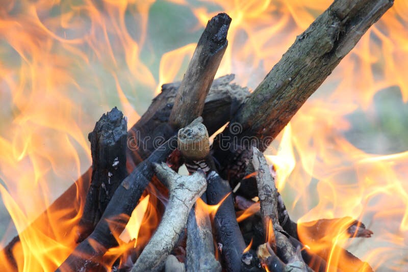 Burning branches stock image. Image of warmth, danger - 70027979
