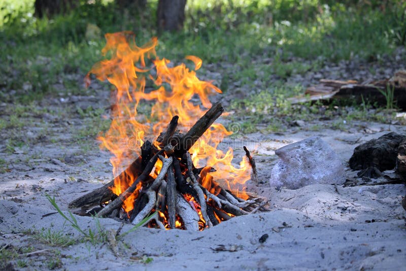 Burning branches stock image. Image of heating, natural - 70033043