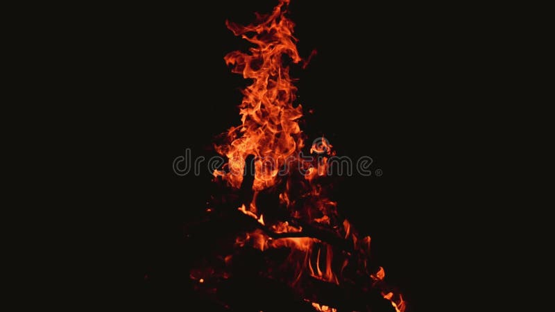 Burning Branches with the Blue Smoke of the Fire. Stock Video - Video ...