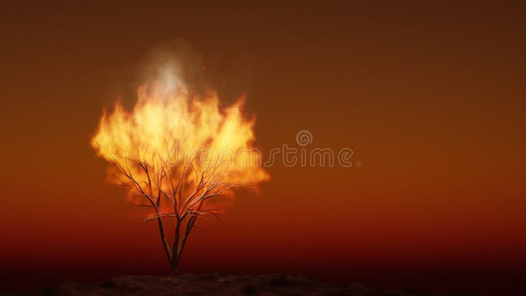 Burning Bush Stock Illustrations – 1,819 Burning Bush Stock ...