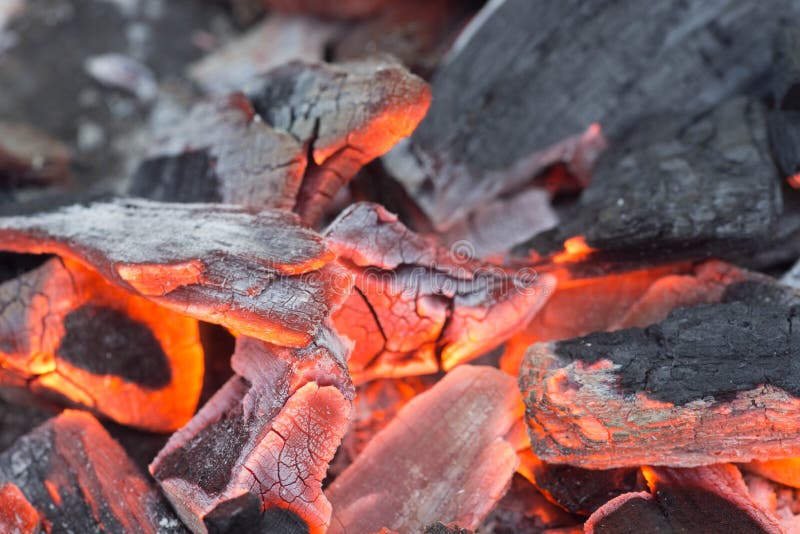 Burning Camp Fire with Coals and Flames Stock Photo - Image of shot ...