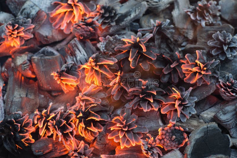 Burning Camp Fire with Coals and Flames Stock Photo - Image of shot ...