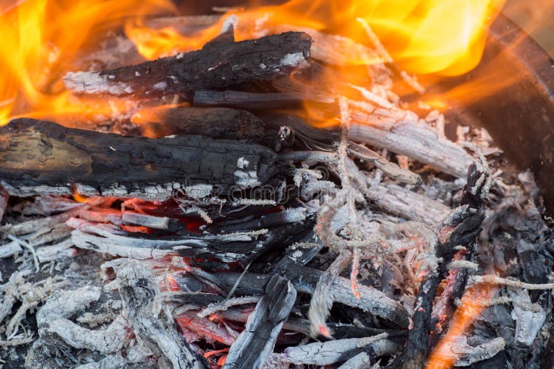 Burning Camp Fire with Coals and Flames Stock Photo - Image of shot ...