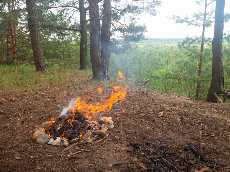Burning Camp Fire with Coals and Flames Stock Photo - Image of shot ...