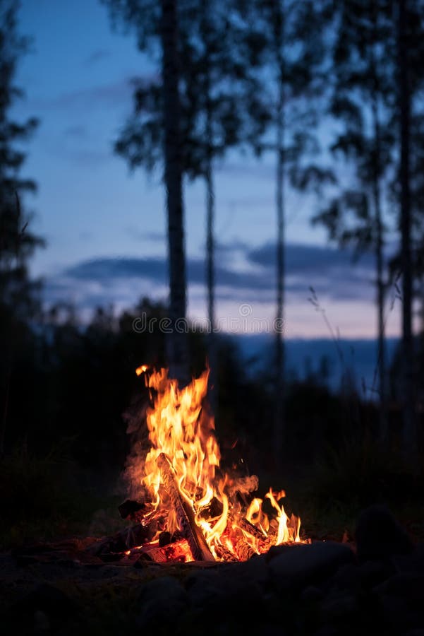 Campfire in the Dark Evening Stock Photo - Image of backgrounds ...