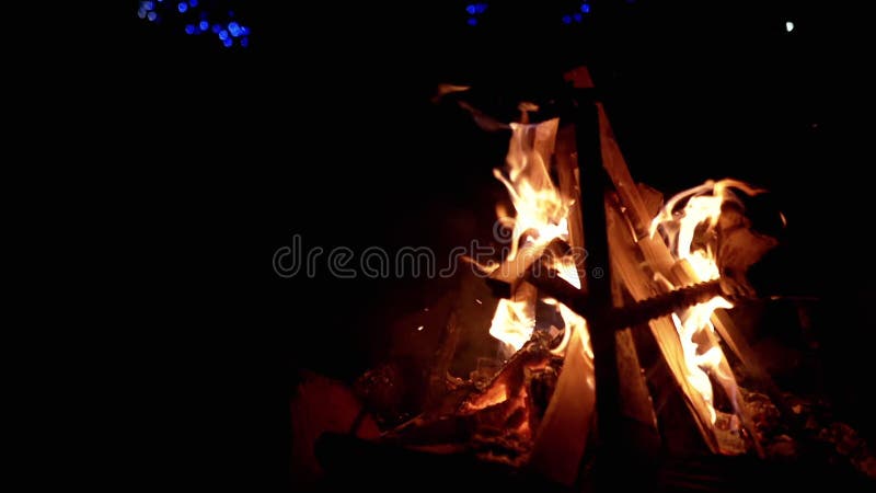 Burning Campfire in the Night Forest on a Black Background Stock Video ...