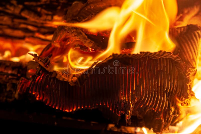 Cardboard Fireplace. Closeup of Firewood Burning in Fire Stock Photo ...