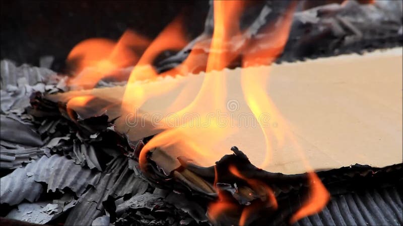 Burning cardboard stock video. Video of burn, industry - 84146611