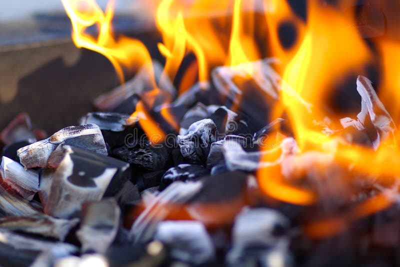 Burning coal stock photo. Image of tree, horizontal, coal - 11600222