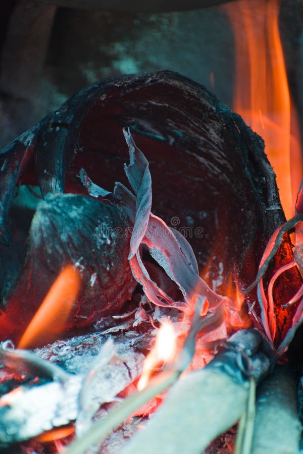 Burning coal and ash stock photo. Image of cooking, fire - 180779998