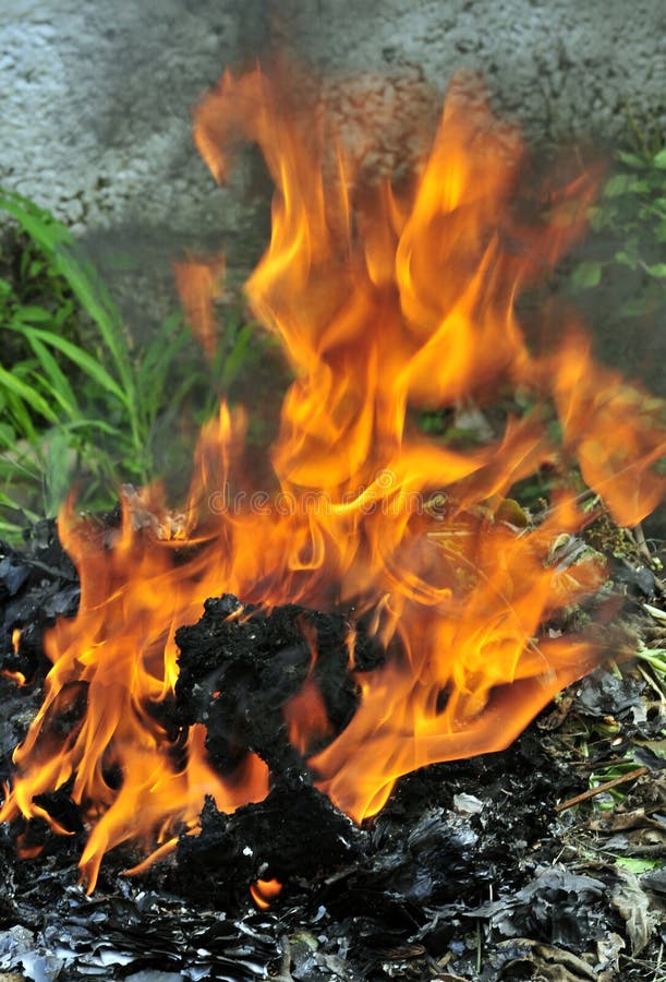 Burning coal. stock photo. Image of heat, fire, flame - 17625942