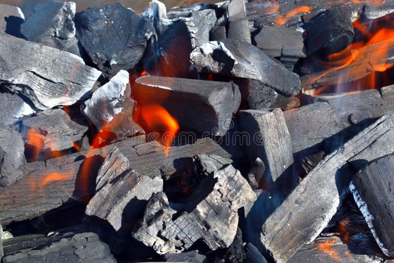 127 Brazier Beach Stock Photos - Free & Royalty-Free Stock Photos from ...