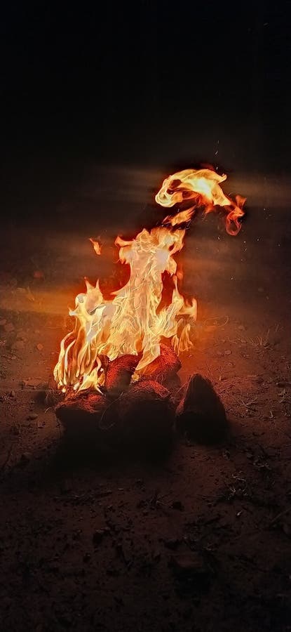 Burning coconut shells stock image. Image of night, fire - 269406245