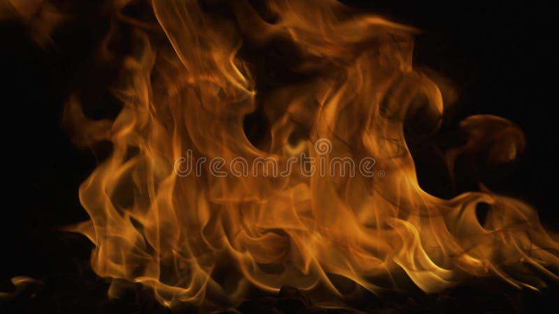 Burning Concept. Fire Flame Texture. Blaze Flames Overlay Background ...