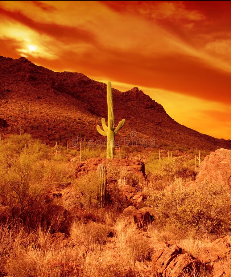 Burning Desert stock image. Image of trail, climate, summer - 5723895