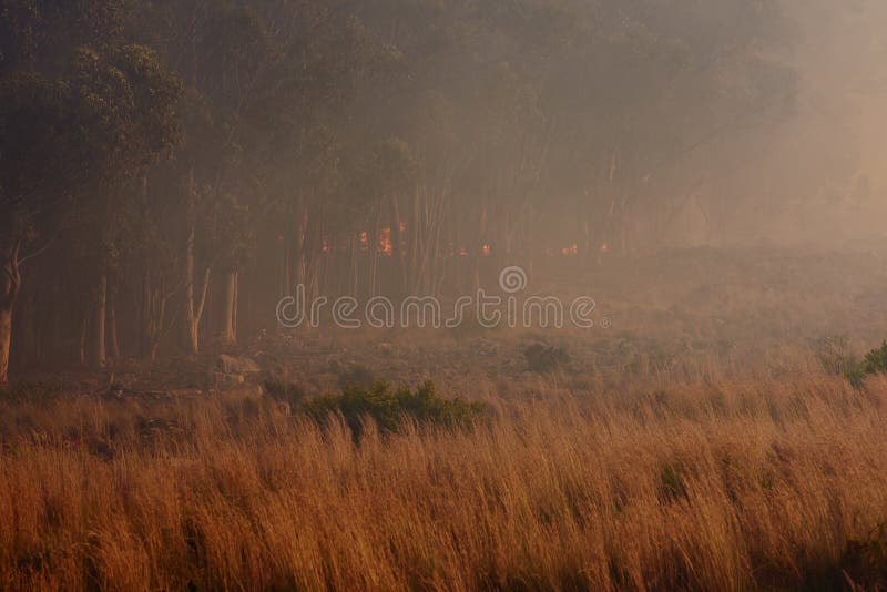 Burning in the Distance. a Wild Fire Burning in the Distance. Stock ...