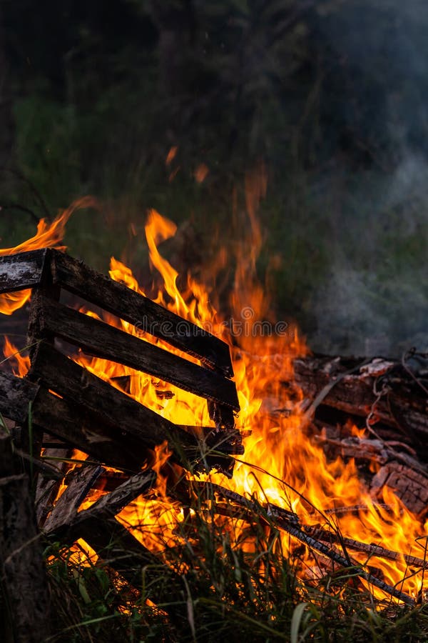 Burning Down Fire. Last Embers and Ashes Stock Photo - Image of ...