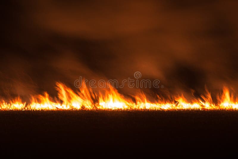 Burning field stock image. Image of bush, long, grass - 175710565