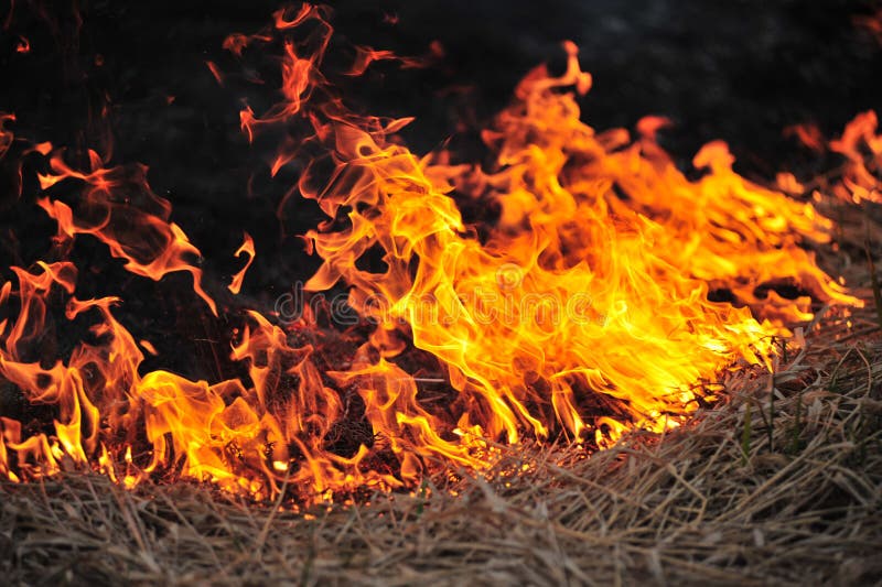 18,708 Burning Grass Stock Photos - Free & Royalty-Free Stock Photos ...