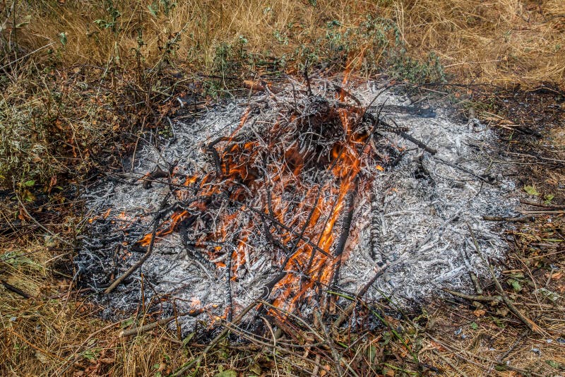 Burning dry grass stock image. Image of destruction - 222952247