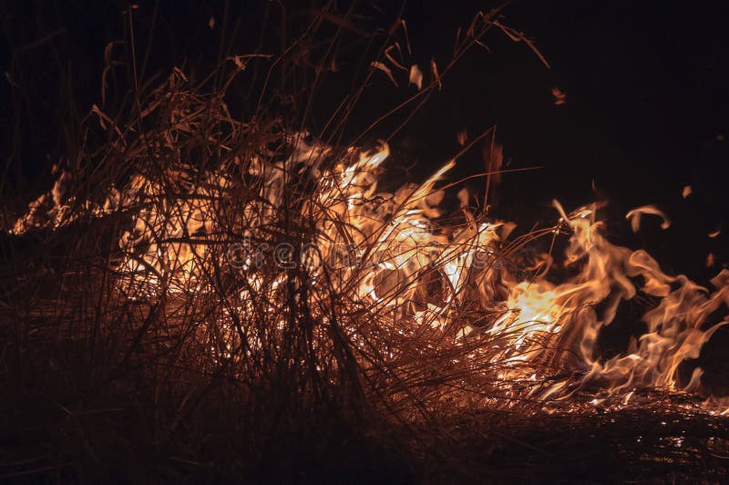 Burning dry grass at night stock image. Image of farm - 39727371