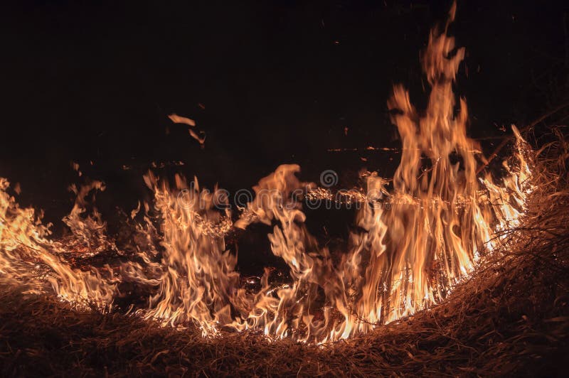 Burning dry grass at night stock image. Image of hell - 39727389