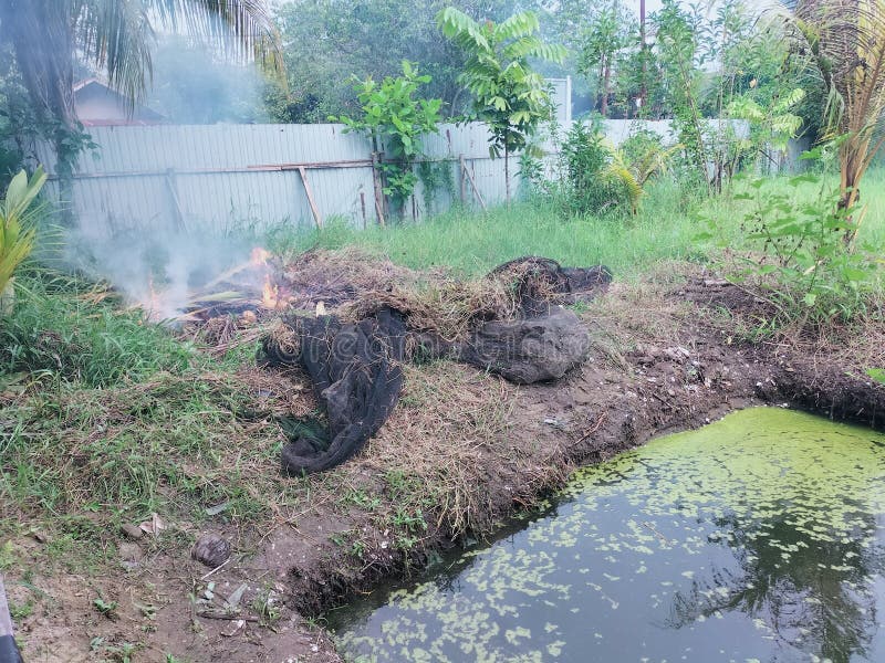 Burning Dry Grass at Summer Can Be Dangerous for Our Environment Stock ...