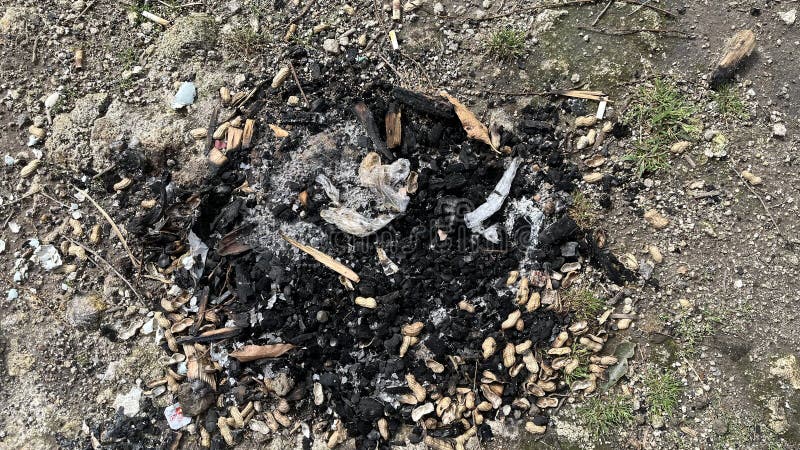 Burning Dry Leaf Waste, Ash Burning Organic Waste Stock Photo - Image ...