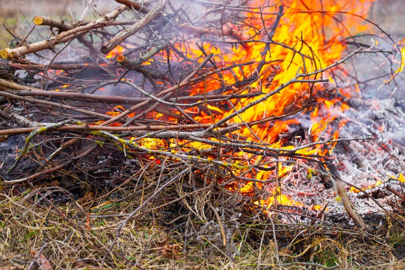Burning Dry Twigs in the Field. Fire and the Smoke of the Fire Stock ...