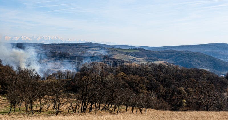 Burning dry vegetation stock image. Image of drought - 284366571