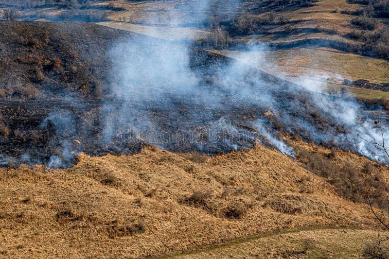 Burning dry vegetation stock image. Image of destruction - 284366575