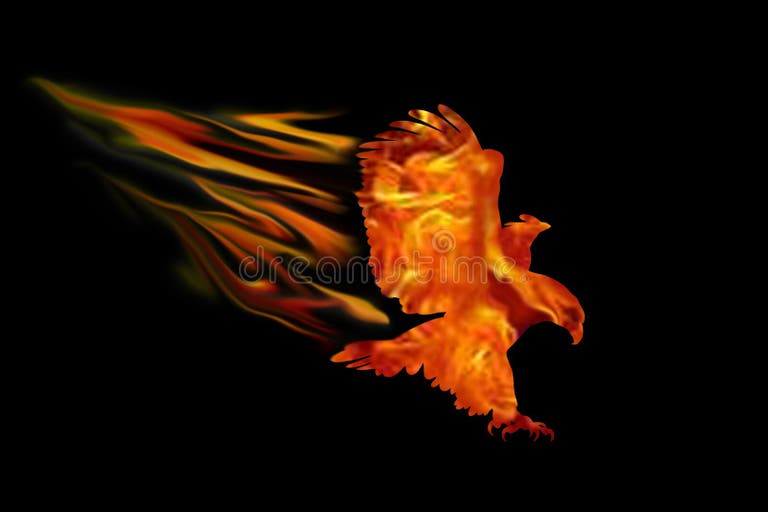 Fire Black Background Eagle Stock Illustrations – 1,524 Fire Black ...