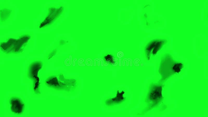 Burning Effect on Green Screen Stock Video - Video of compositing ...