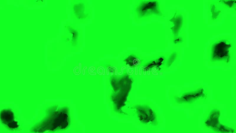 Burning Effect on Green Screen Stock Video - Video of burnt, chroma ...