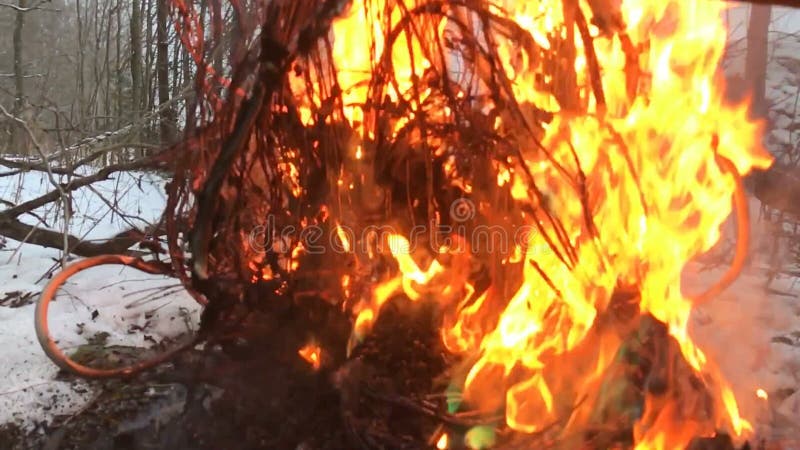 Electrical Fire Due To Short Circuit in Electrical Wiring of ...