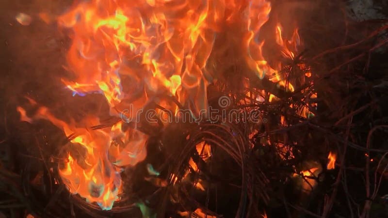 Electrical Fire Due To Short Circuit in Electrical Wiring of ...