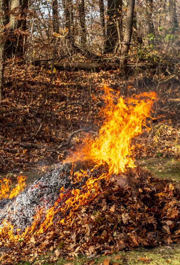 Burning Fall Leaves in Your Yard Stock Image - Image of flames, fall ...