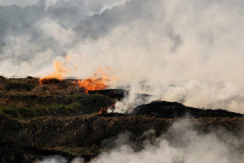 Burning of a Farmers Field. Stock Image - Image of grass, danger: 17149047