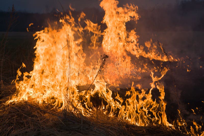 Burning field stock image. Image of warming, danger, smoke - 13134959