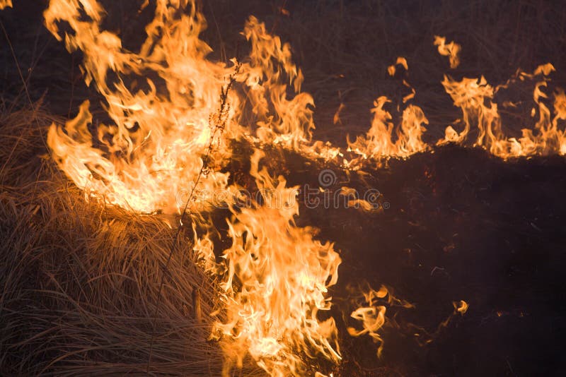 Burning field stock image. Image of protection, ground - 14092289