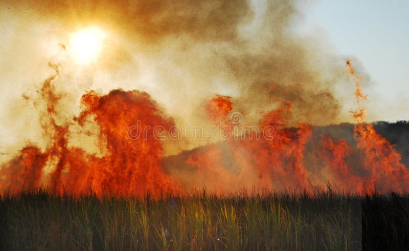 Burning field stock image. Image of countryside, flames - 26028797
