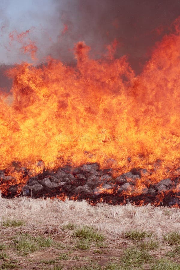 Burning field of grass stock image. Image of burning, prairie - 6733219