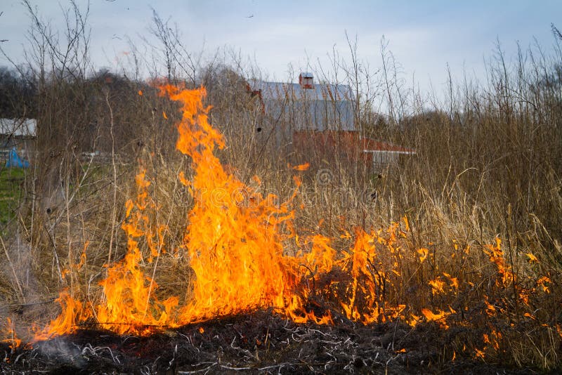 Burning a Field stock image. Image of flame, wild, natural - 60451039