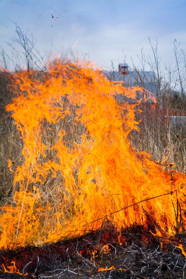 Burning a Field stock photo. Image of flame, wild, nature - 60451798