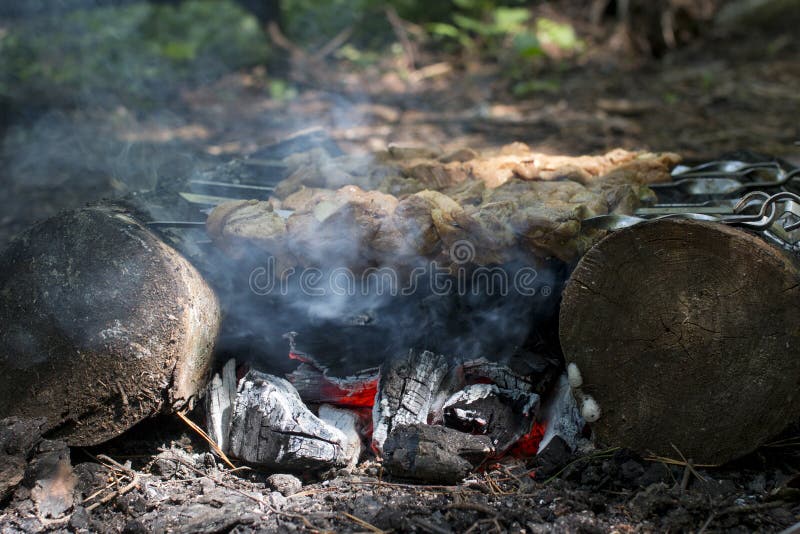 Roast Pork Over a Fire and Skewers. Stock Photo - Image of food, fresh ...