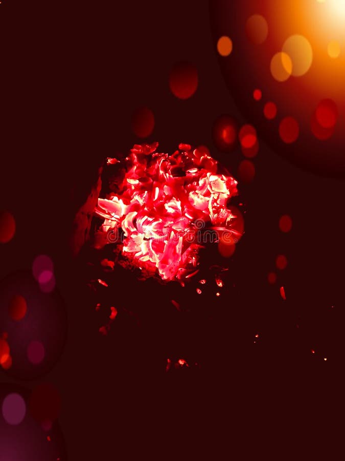 Burning Fire on Black Coal Natural Beautiful Stock Photo - Image of ...