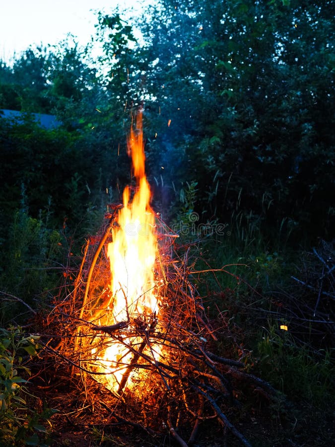 Burning Fire. the Bonfire Burns in the Forest. Texture of Burning Fire ...