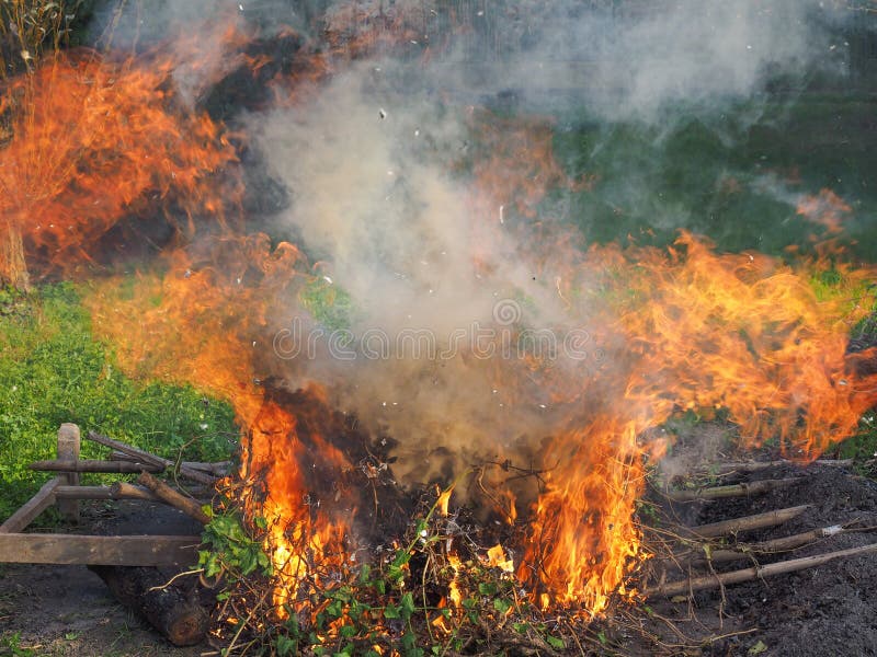Burning fire stock image. Image of burning, meadow, smoke - 47252349